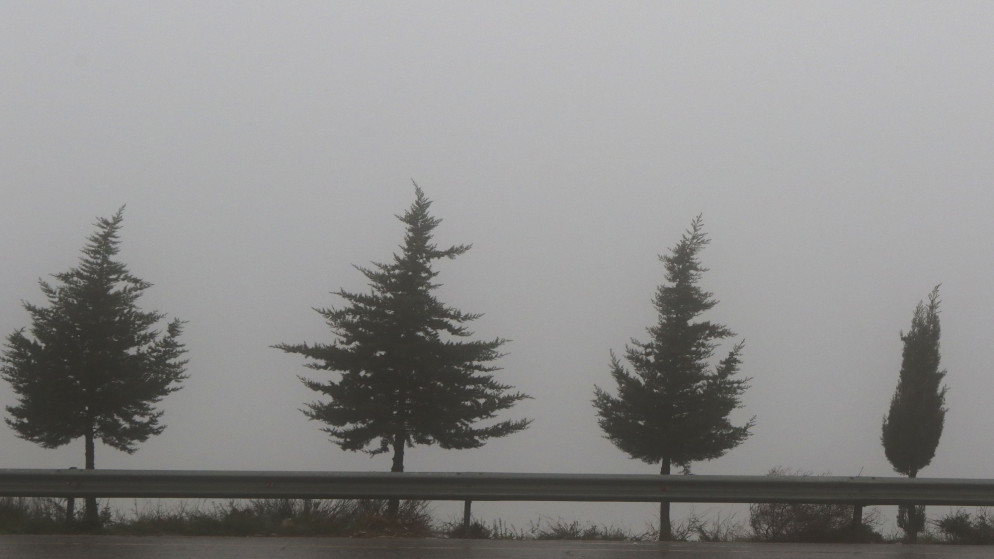 إجلاء 8 عائلات في الأزرق داهمت الأمطار منازلهم